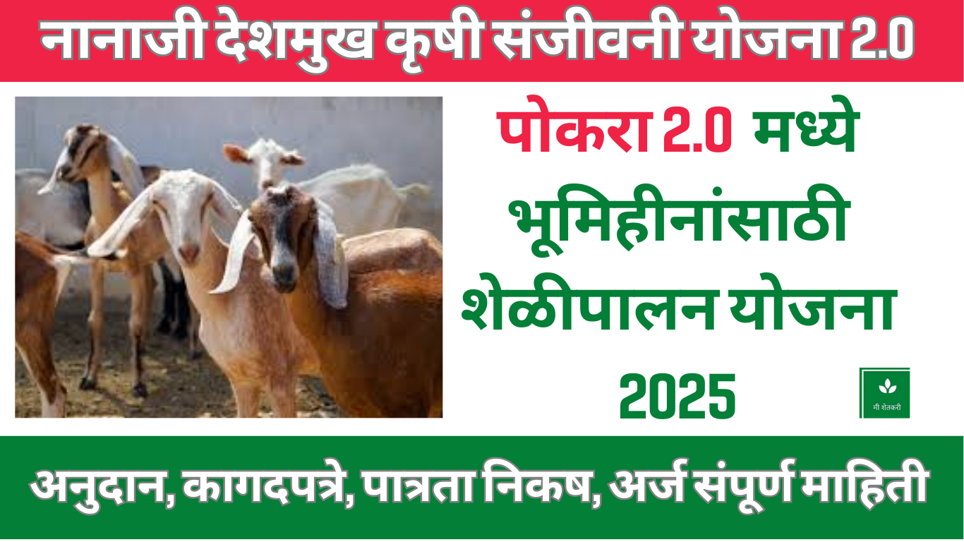 नानाजी देशमुख कृषी संजीवनी प्रकल्प (Pocra 2) – पोकरा शेळीपालन योजना 2026